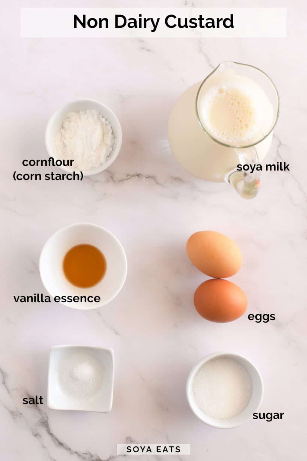 Non Dairy Custard With Soya Milk | Soya Eats