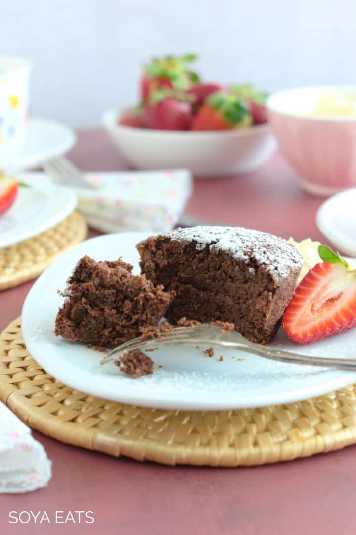 Gluten Free Okara Chocolate Cake | Soya Eats
