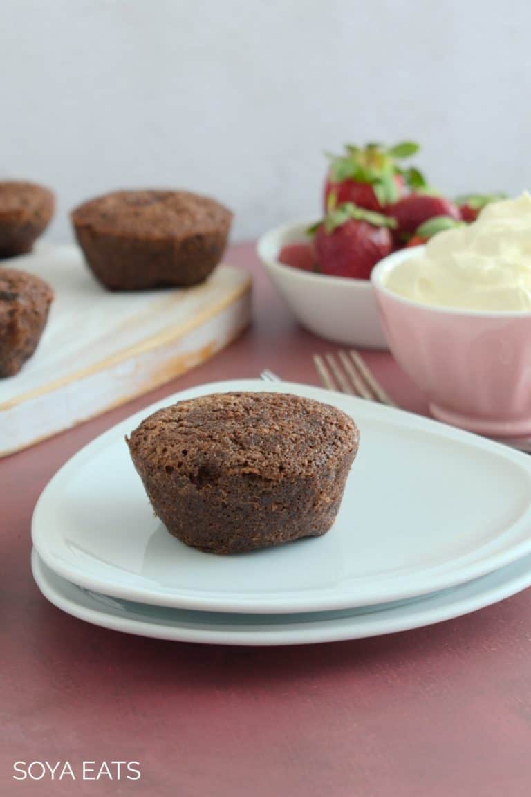 Gluten Free Okara Chocolate Cake | Soya Eats