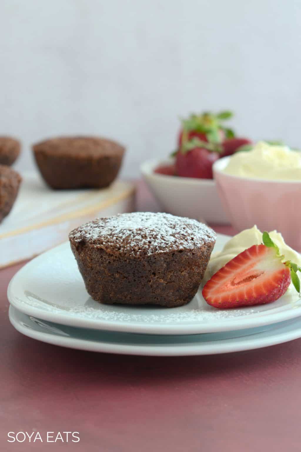 Gluten Free Okara Chocolate Cake | Soya Eats
