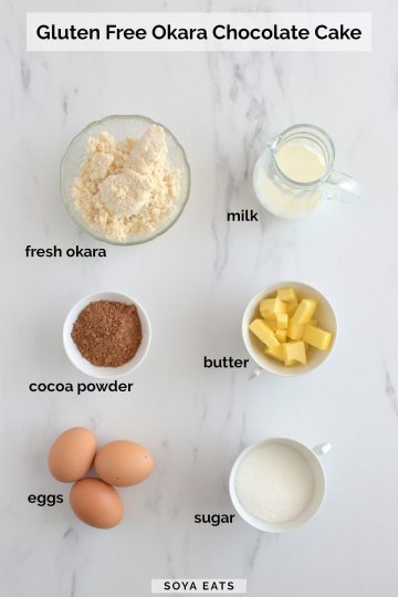 Gluten Free Okara Chocolate Cake | Soya Eats