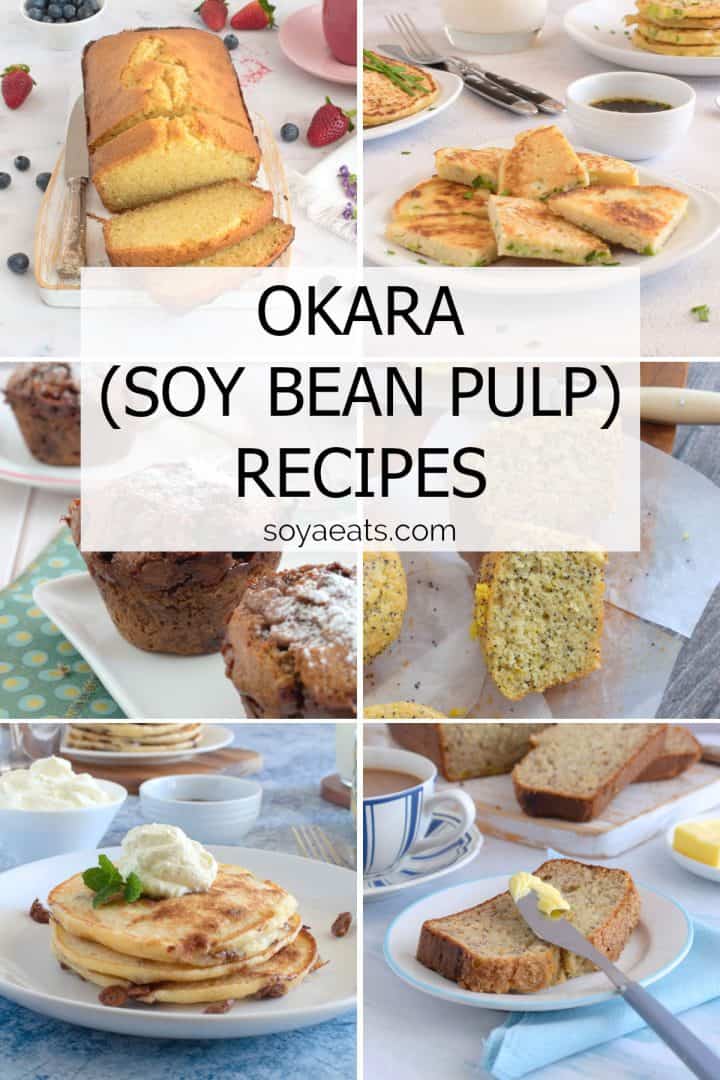 Easy Okara Recipes | Soya Eats